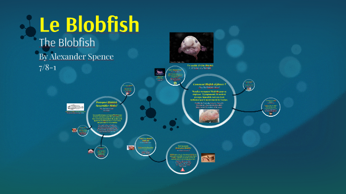 Le Blobfish by Sir gabeN