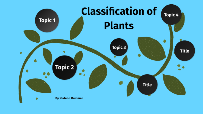 How Scientists Classify Plants by Gideon Kummer on Prezi