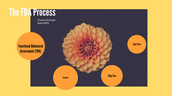 The FBA Process by Chelsea Schlegel on Prezi