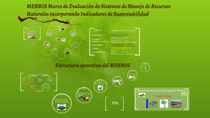 Pasos del MESMIS by Carolina Zequeira on Prezi