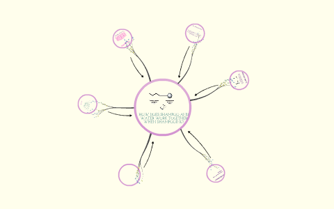 HOW DOES SHAMPOO AND WATER WORK TOGETHER WHEN SHAMPOOING? by rachael ...