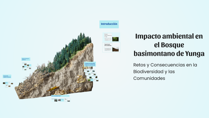 Impacto ambiental en el Bosque basimontano de Yunga by Juan david ...