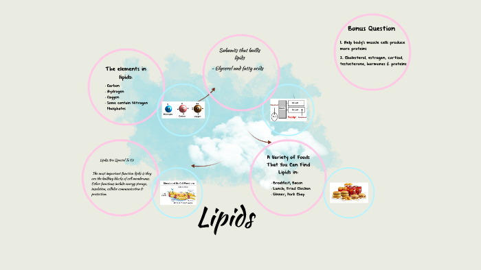 Lipids by Meliyah Atkins on Prezi