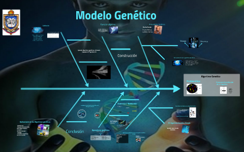 Modelo Genetico by deivys yamarte on Prezi
