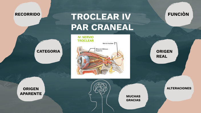TROCLEAR (IV P.C) by Ana María paz Aguirre on Prezi