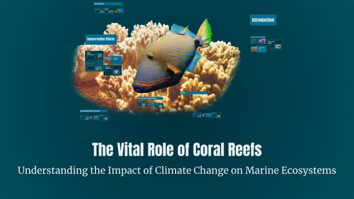 The Vital Role of Coral Reefs by Matteo Tedesco on Prezi