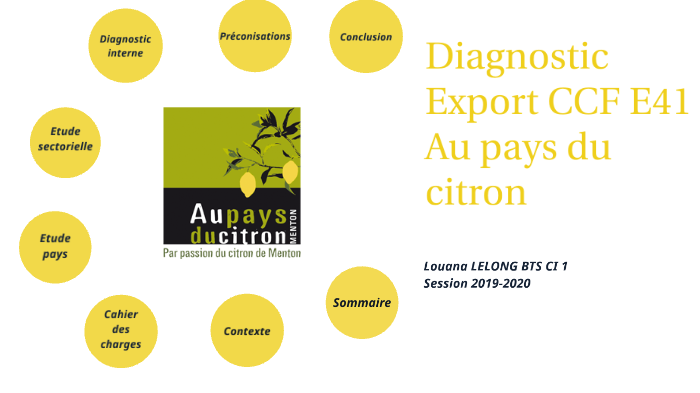 Diagnostic Export CCF E41 Au Pays du Citron by Louana Lelong on Prezi