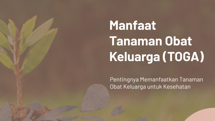 Manfaat Tanaman Obat Keluarga (TOGA) by Jafar Rizky on Prezi