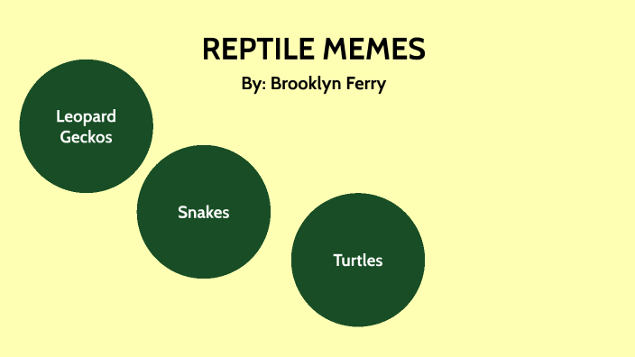REPTILE MEMES by Brooklyn Ferry on Prezi