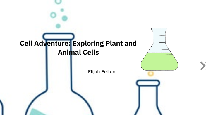 Cell Adventure: Exploring Plant and Animal Cells by Elijah Felton on Prezi