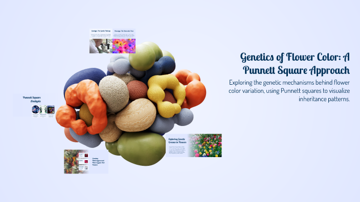 Genetics of Flower Color: A Punnett Square Approach by Ruby Gail Morong ...