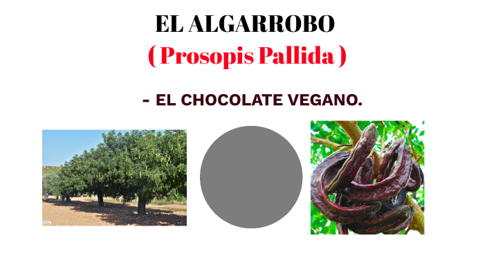 EL ALGARROBO by Mirian Sheila Villalobos Yahuana on Prezi