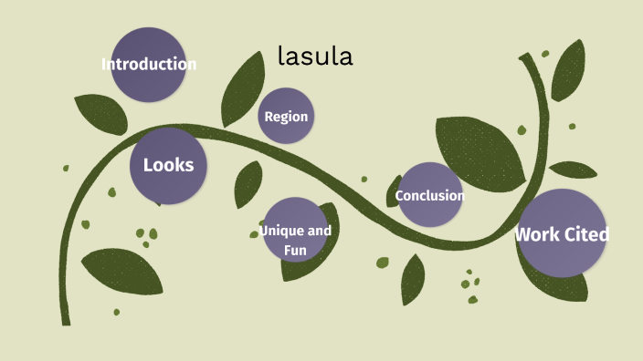 lasula by Kooper Shisler on Prezi