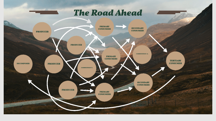 1.05 Alabama Food Web Project by jean kirpatrick on Prezi