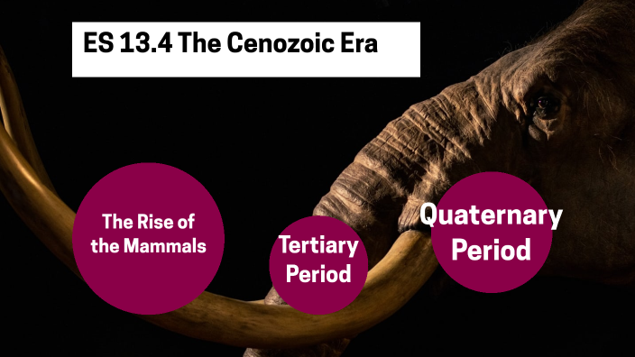 ES 13.4 The Cenozoic Era by Emily Richbourg on Prezi