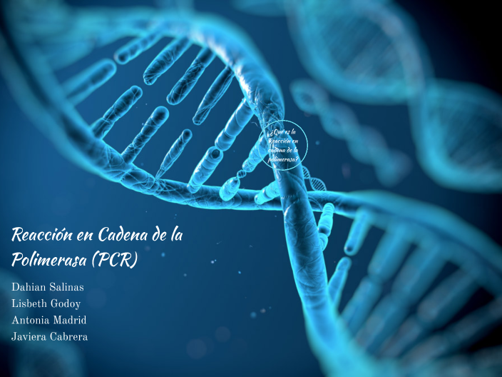 PCR reacción en cadenas de la polimerasa by Dahian Salinas on Prezi