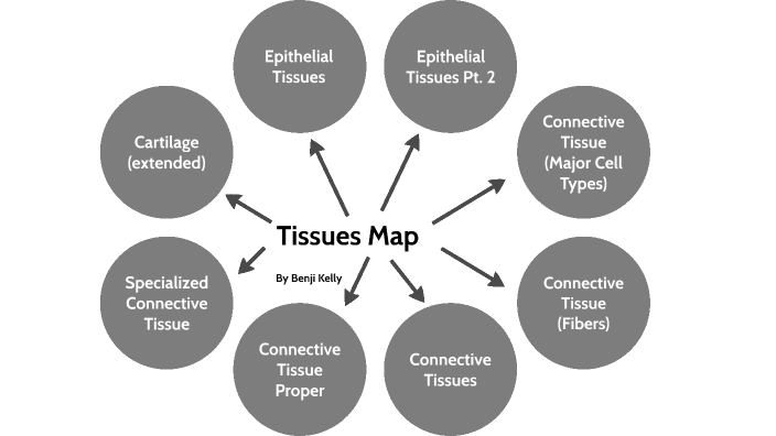 Tissues Map by Benjamin Kelly on Prezi