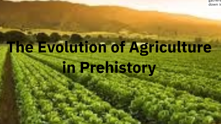 The Evolution Of Agriculture in Prehistory by Anniese Beeler-Allen on Prezi