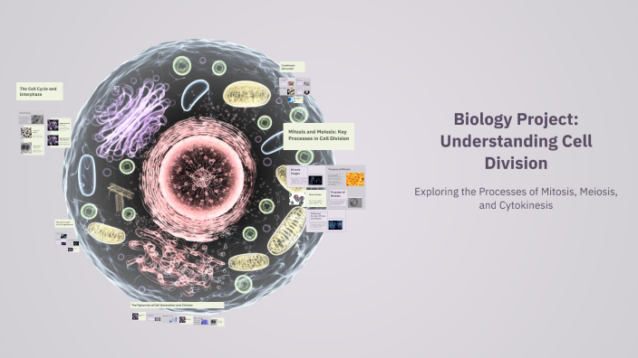 Biology Project: Understanding Cell Division by Sus Man on Prezi
