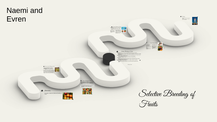 What is Selective Breeding of Fruits by Naemi tedros on Prezi
