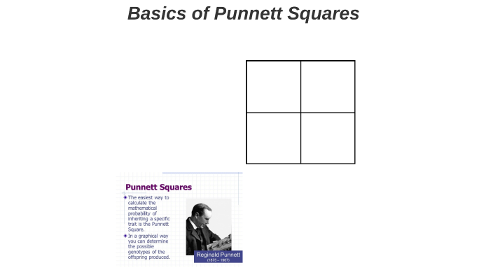Lab Exercise - Punnett Squares and Probabilities in Genetics by Edward ...