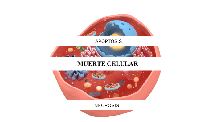 MUERTE CELULAR by carmen alfaro on Prezi