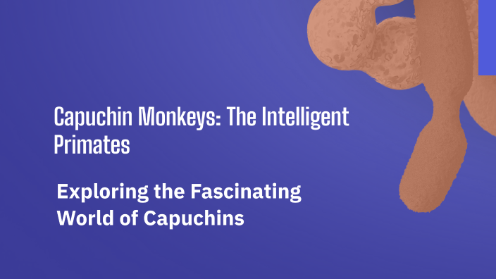 Capuchin Monkeys: The Intelligent Primates by Aldo Aguirre - WLM ...