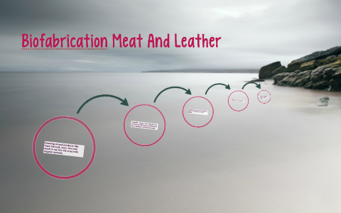Biofabrication Meat And Leather by Ahmed Alomar on Prezi
