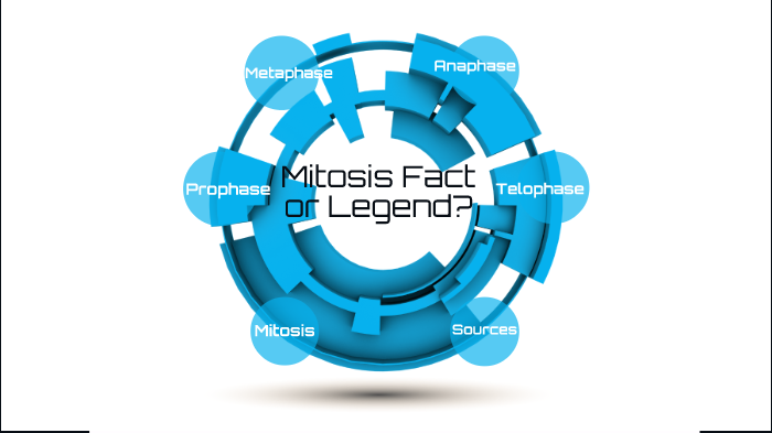 Mitosis Presentation by Quinton Firey on Prezi