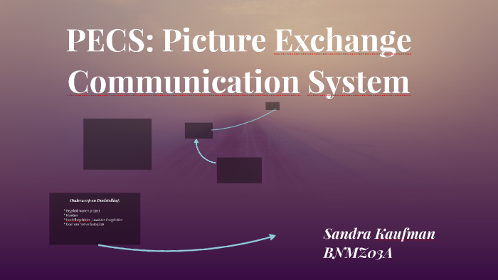 Zintri Zorggroep by sandra kaufman on Prezi