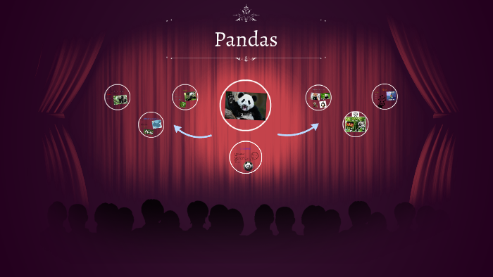 Pandas presentation by jennifer lin on Prezi