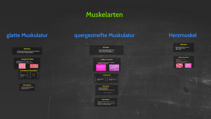 Muskelarten by Timm Barthel on Prezi