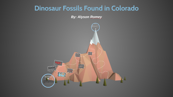 Dinosaur Fossils Found in Colorado by Alyson Romey