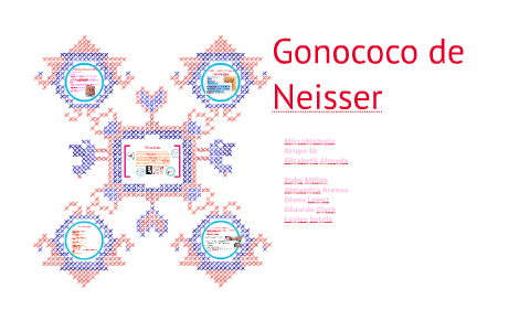 Gonococo de Neisser by Lesley sotelo on Prezi