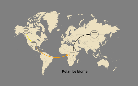 Polar ice biome by on Prezi
