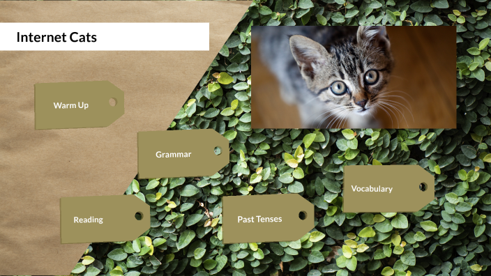 Internet Cats by Abraham E. Cordova Bazan on Prezi