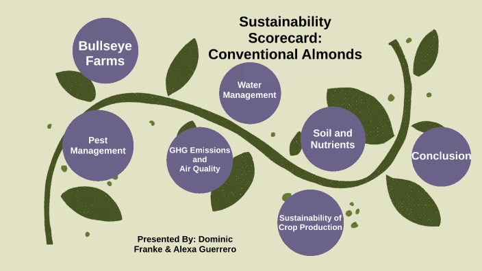 Sustainability Scorecard by Alexa Guerrero on Prezi