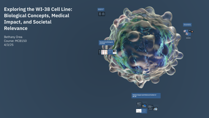 Exploring the WI-38 Cell Line: Biological Concepts, Medical Impact, and Societal Relevance by ...