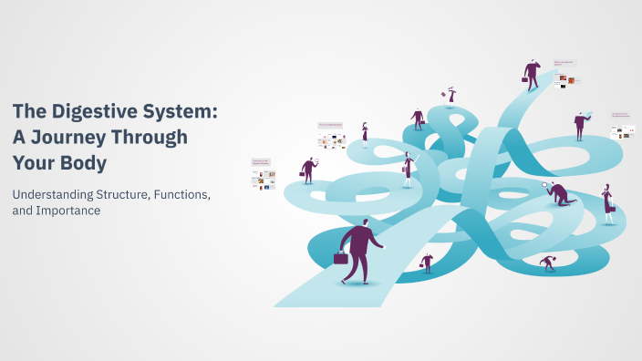 The Digestive System: A Journey Through Your Body by ralph alem on Prezi