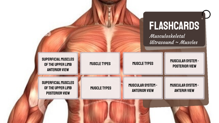 Flashcards by Laurie Geiger on Prezi