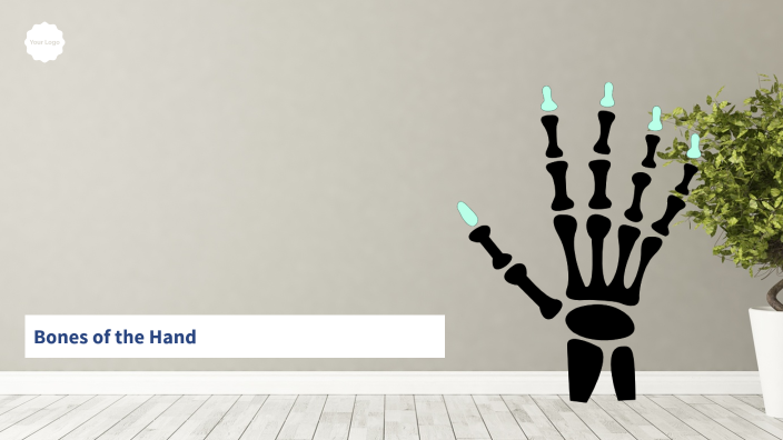 Bones of the an by Melissa Hardcastle on Prezi