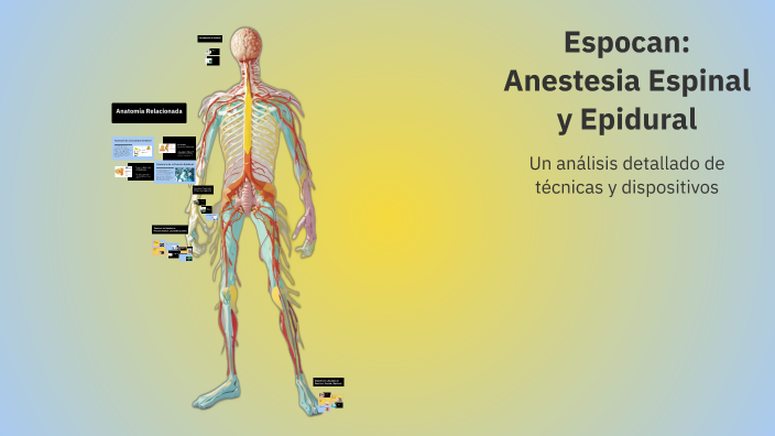 Espocan: Anestesia Espinal y Epidural by Shyrley Duveiza Perez Cruz on ...