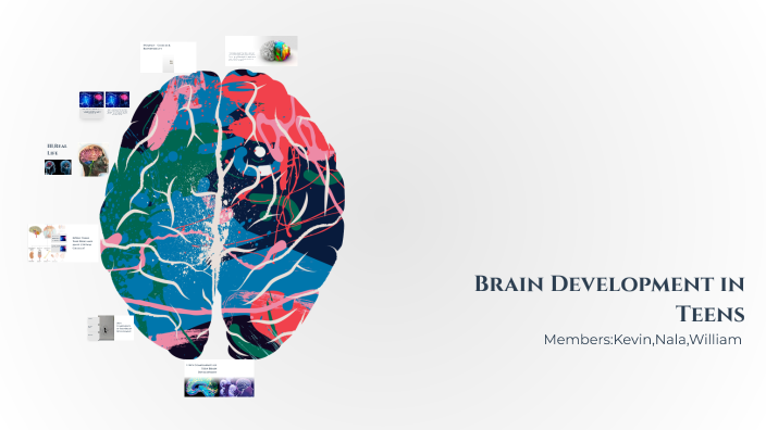Le cerveau des adolescents by Bảo Ngân Nala_ on Prezi