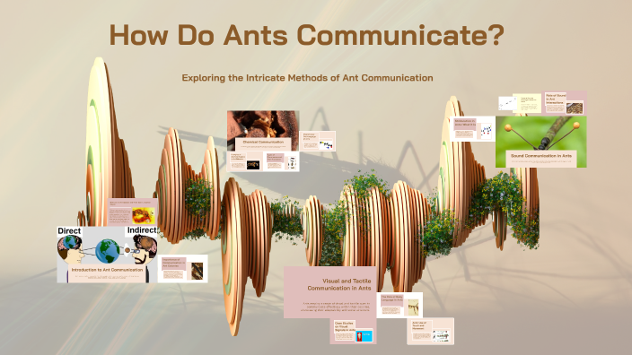 How Do Ants Communicate? by Kolas Bambino on Prezi