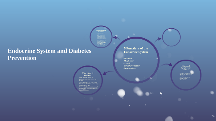 Endocrine System and Diabetes Prevention by Anna Rehpelz on Prezi