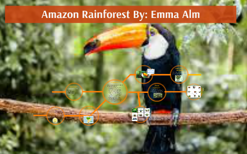 Amazon Rainforest by Mike Filipowicz on Prezi