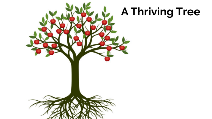 A Thriving Tree by Mike Beckerink on Prezi