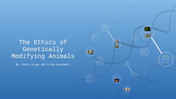 Ethics of Genetically Engineering Animals by Erika matsumoto on Prezi