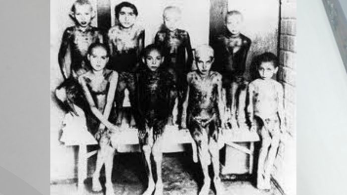 Holocaust-Boxcar Horrors! by amelia salomon on Prezi