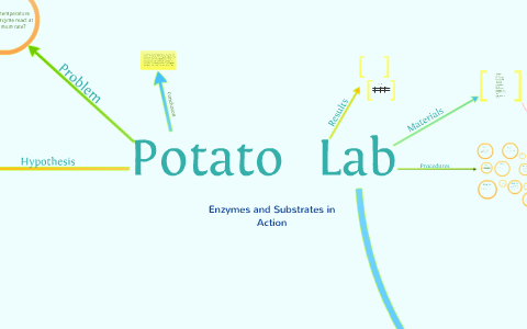 Potatoe Enzyme lab by Hadley McCollester on Prezi